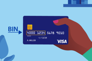 O que é o BIN do cartão de crédito? - PortalFinança.com